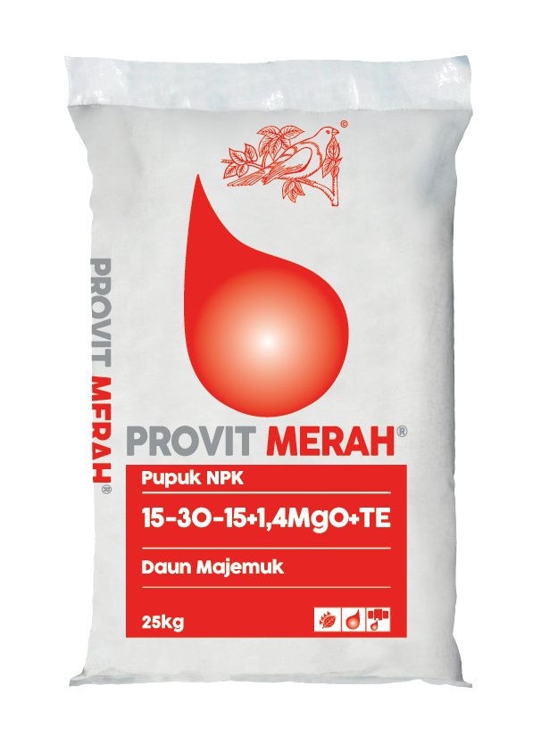 PROVIT MERAH